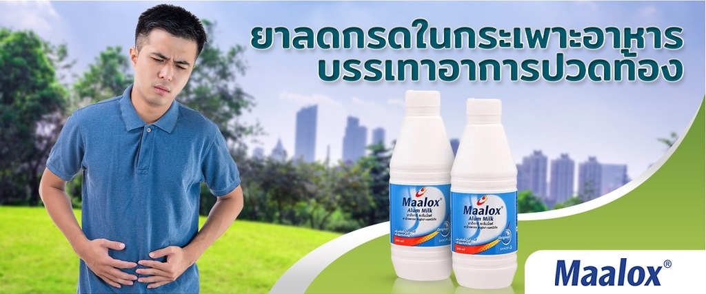 MAALOX ALUM MILK 240ML - Phartech Online