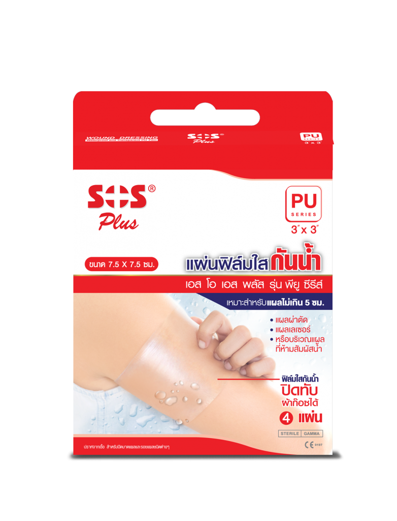 หน้าแรก